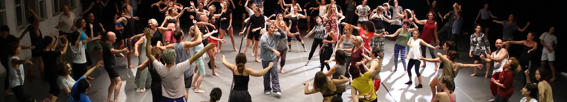 Gaga/people Online Workshops - Gaga